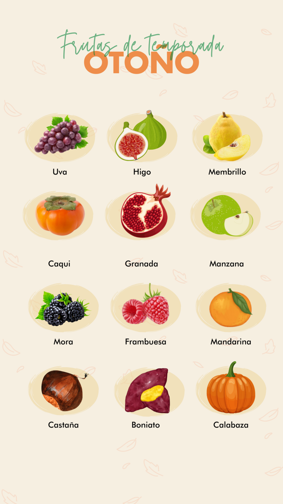 ¿Cuáles son las frutas de temporada en otoño? - Cal Roget Fruits